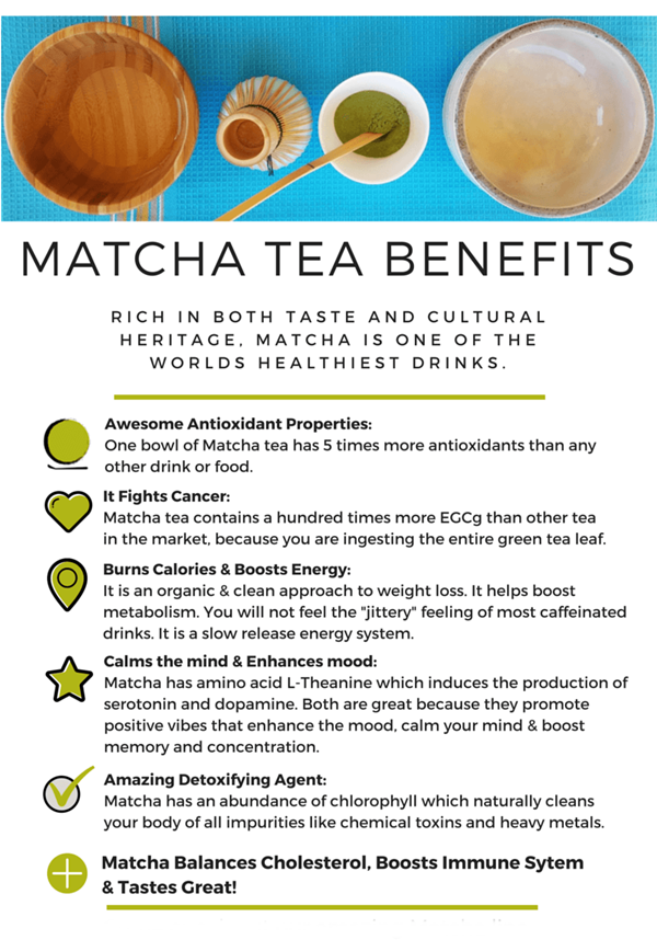 Hop On The Matcha Train – Sydney Campos